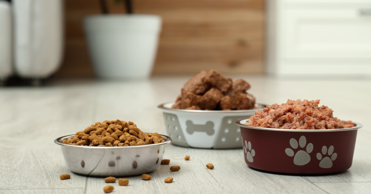 Pros and Cons of Homemade Pet Food | Nutrition for Dogs and Cats