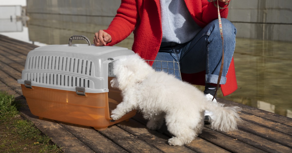 Educational Articles | Pet Assure