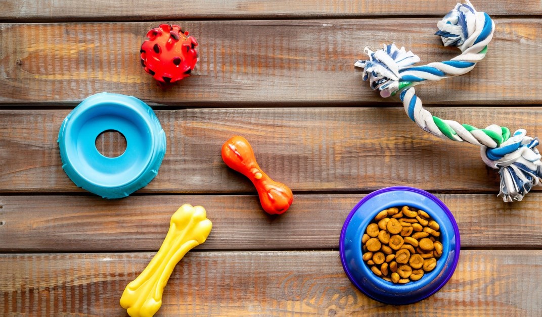 Why Blue and Yellow Dog Toys Are Best for Your Pup