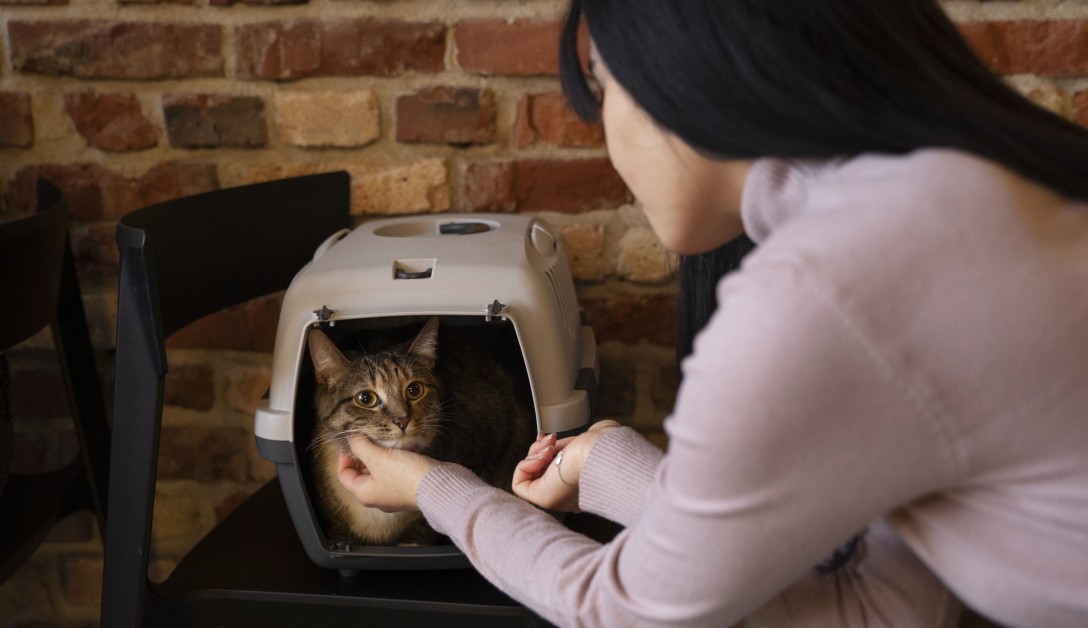 Educational Articles | Pet Assure