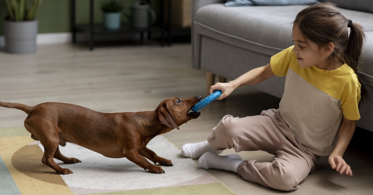 Educational Articles | Pet Assure